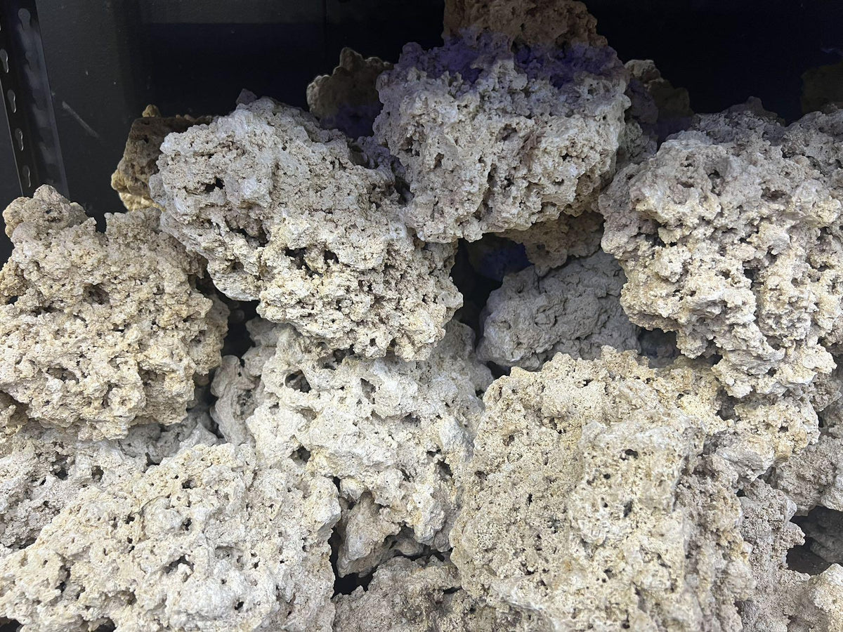 Base Rocks 1kg — Sydney City Aquarium