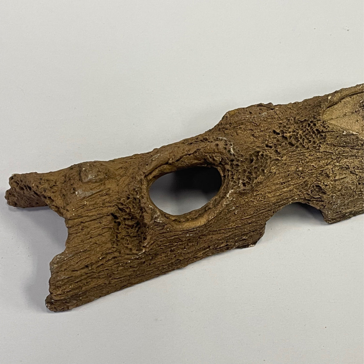 Ceramic Half Tree Trunk Cave — Sydney City Aquarium