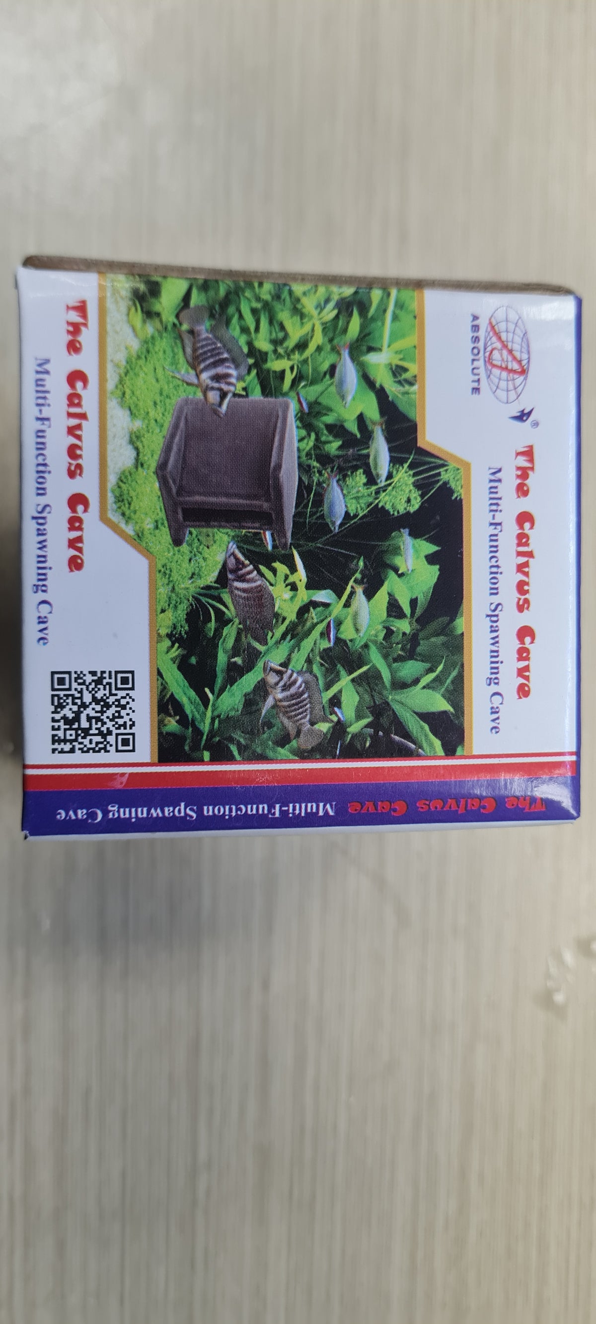 The Calvus Cave — Sydney City Aquarium